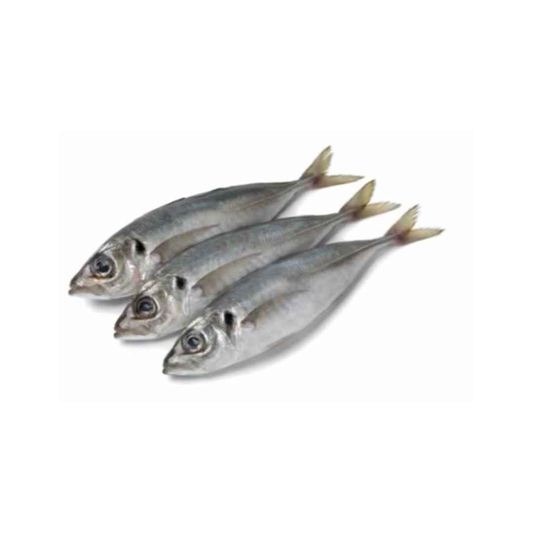 Jurel Entero 5Lb – Tienda Batista